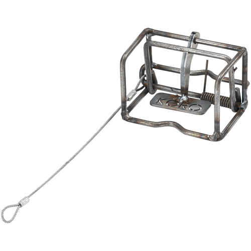 Koro Rodent Trap | Forestry Suppliers, Inc.