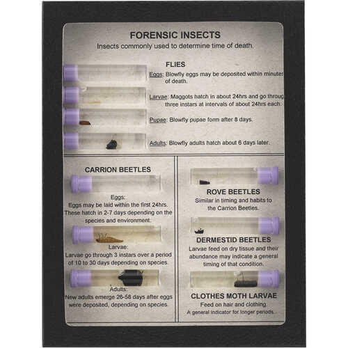 Mammal Claws Riker Mount | Forestry Suppliers, Inc.