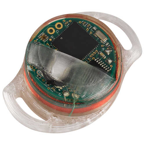 Alpha Mach NAUTICAL Lite Temp/Light Logger | Forestry Suppliers, Inc.