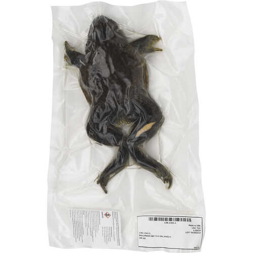 Advanced Bullfrog Anatomy Kit with Dissection Tools | Forestry ...