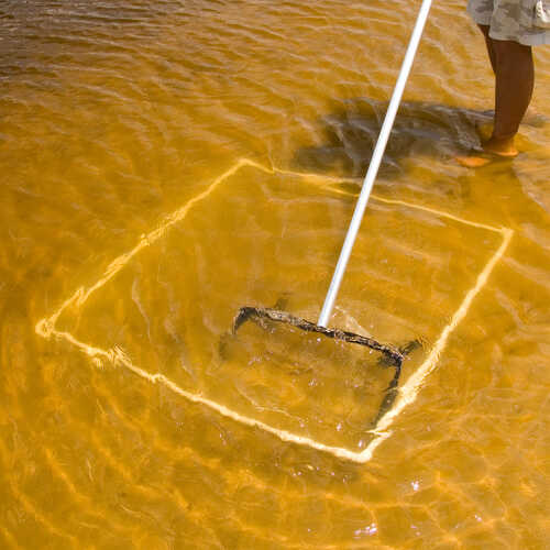 Forestry Suppliers Point Intercept Frame | Forestry Suppliers, Inc.