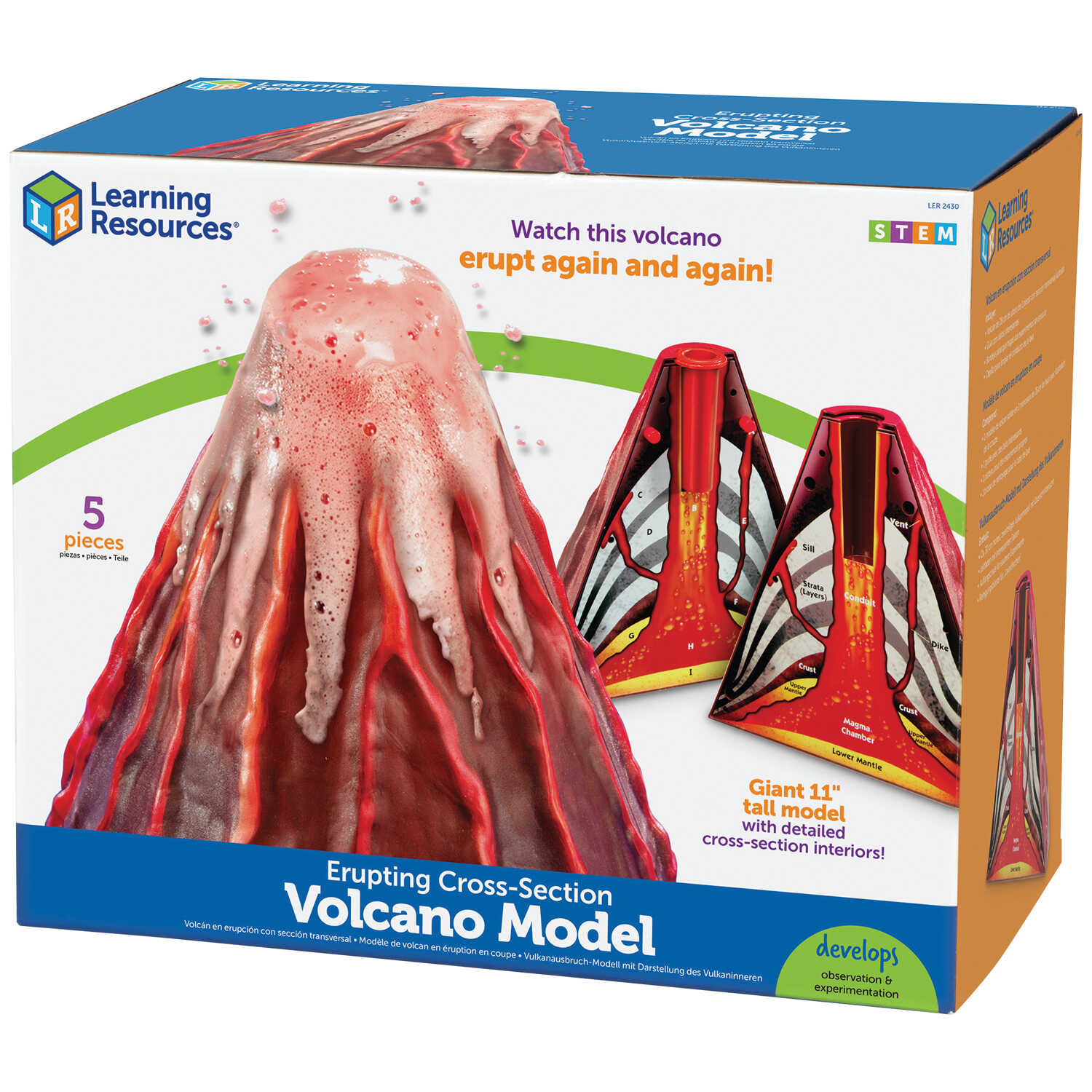 Erupting Volcano Cross-Section Model