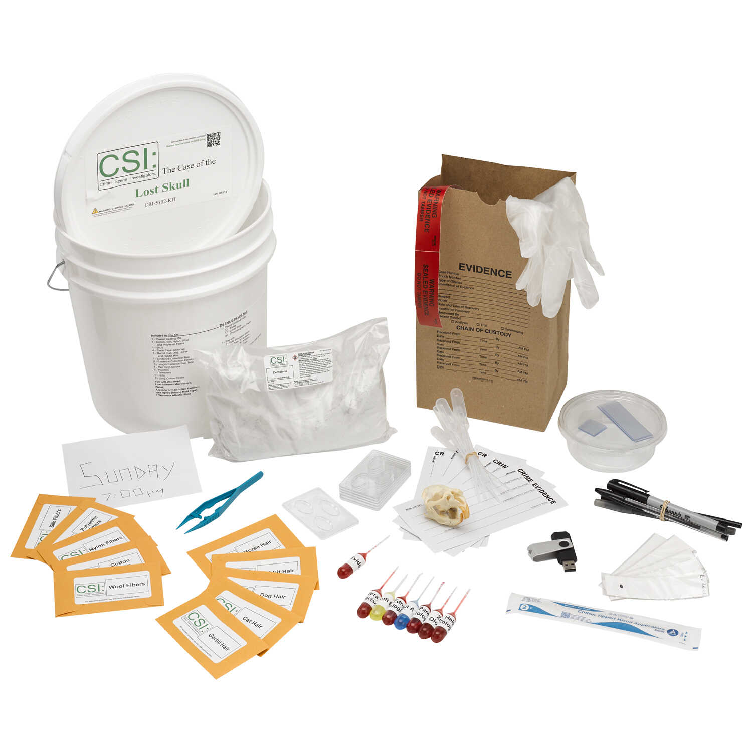 CSI The Case of the Lost Skull